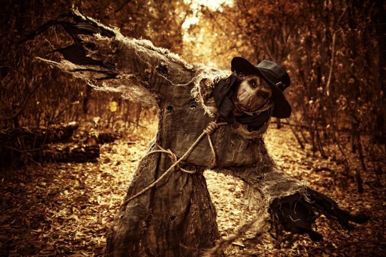 Ghostly Types: Scarecrows | Ghostly Activities