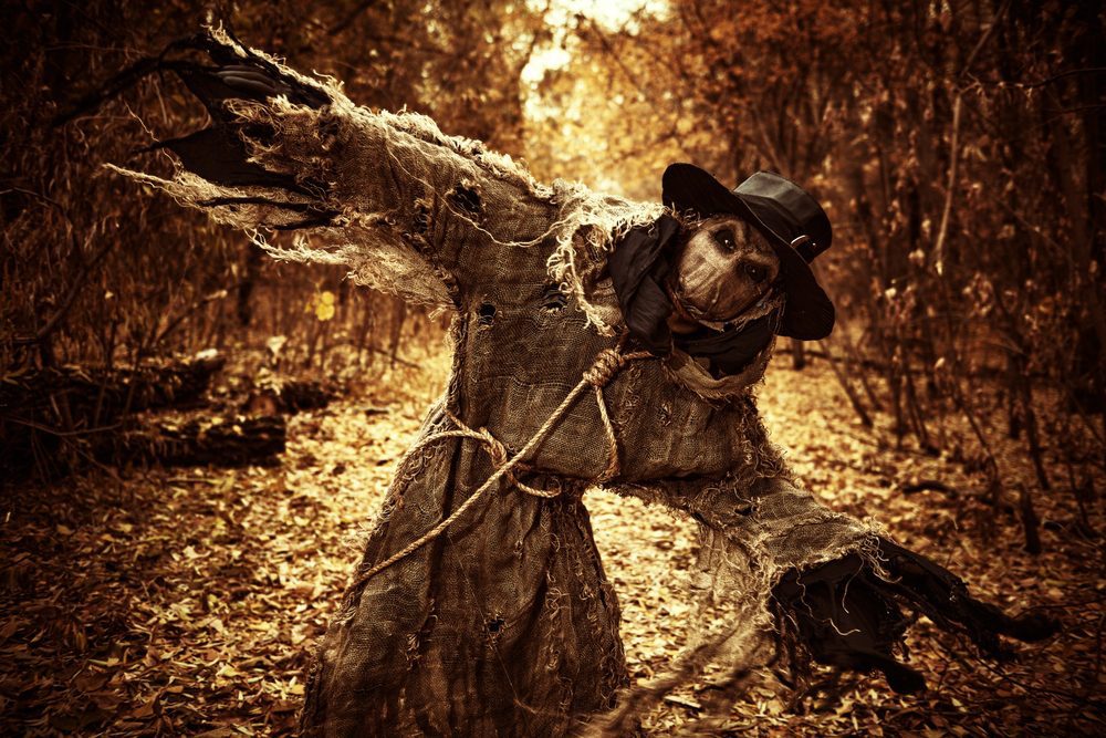 Ghostly Types: Scarecrows | Ghostly Activities